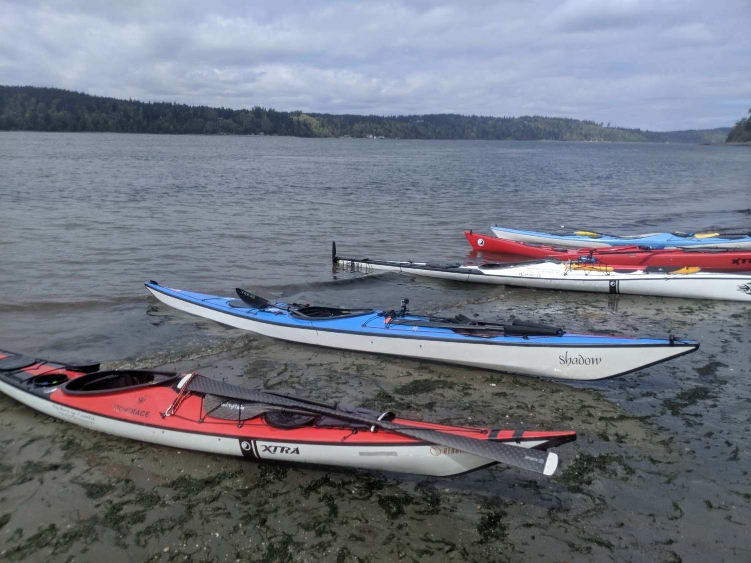 Sea Kayaking from Olympia to the Pacific Ocean, Leg 3 - Robert Nissenbaum