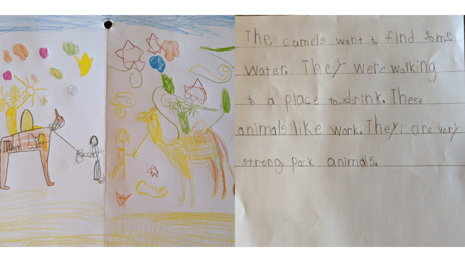 COVID-19: My Life in Self-Quarantine - Robert Nissenbaum